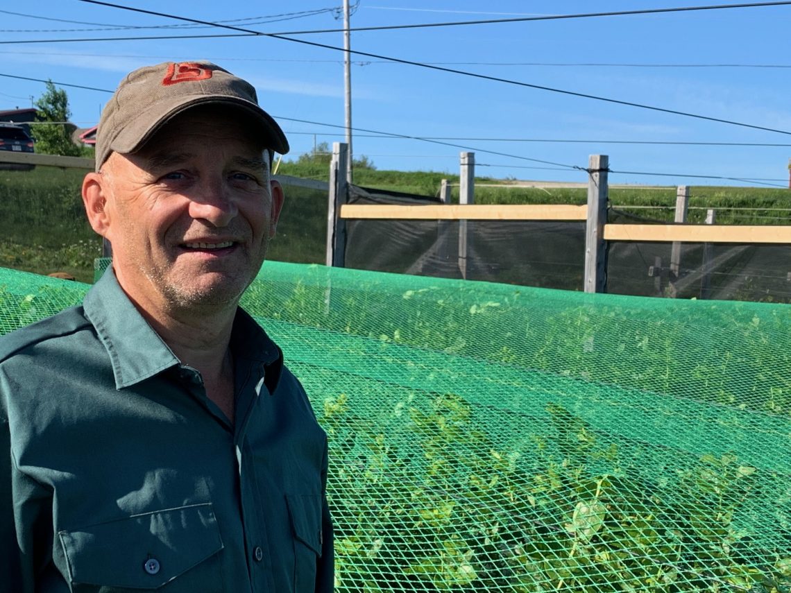 Daniel Labrecque Petits fruits en folie - CFIM