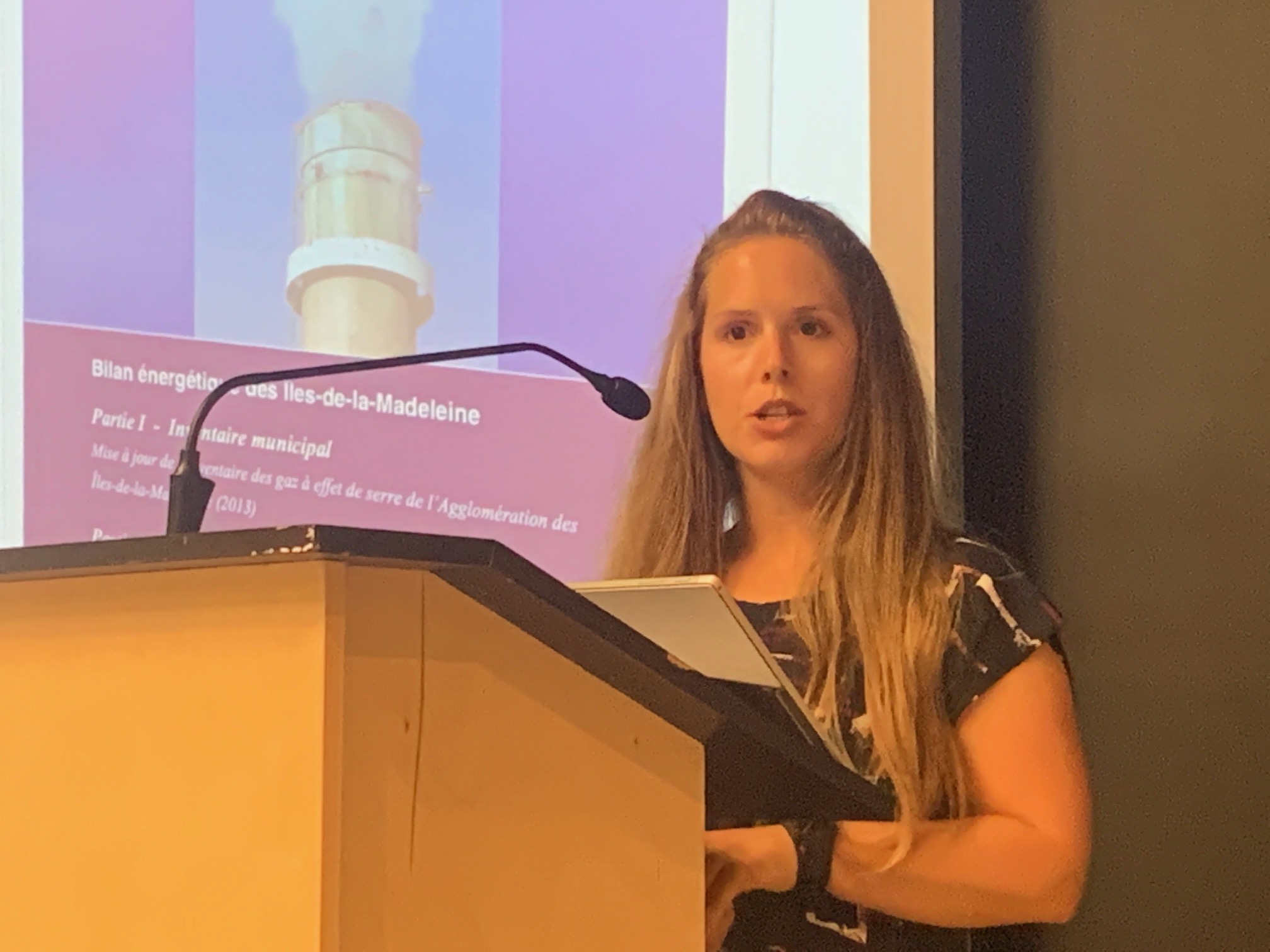 Marie-Hélène Beaudoin-Gagnon CERMIM - CFIM