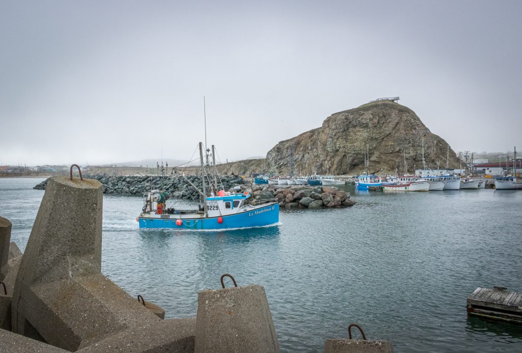 Des pêcheurs inquiets de l'avenir de la pêche à la "plaise" - CFIM