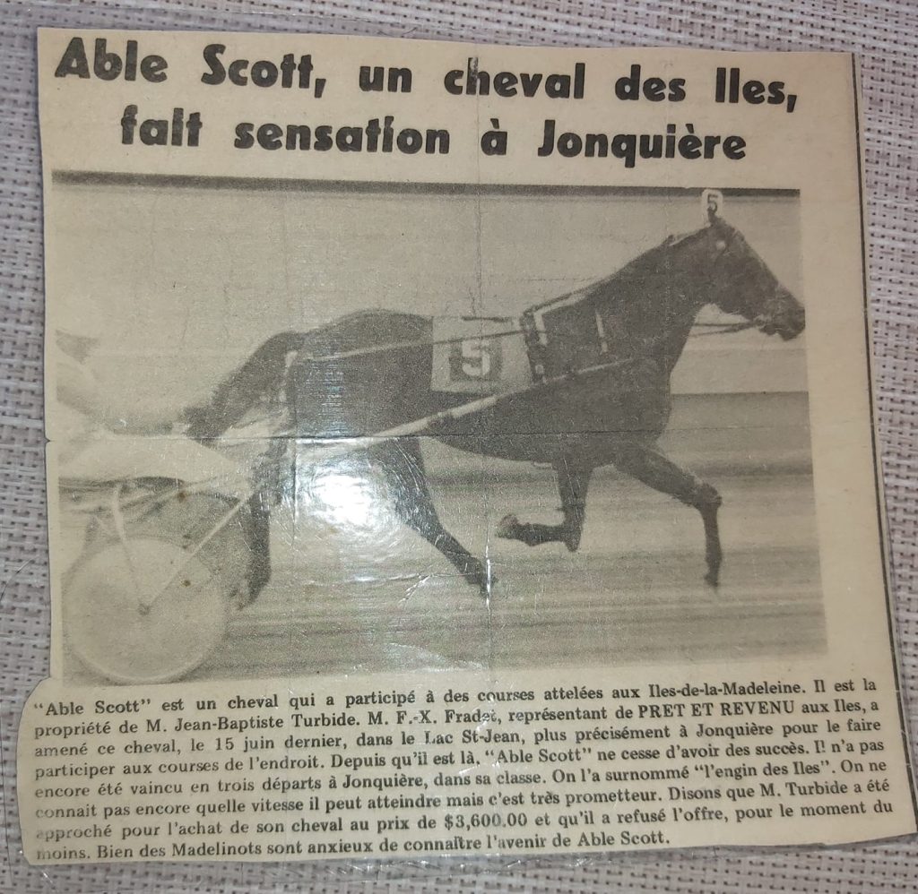 Un 60e anniversaire compétitif pour l'hippodrome de Havre-aux-Maisons ...