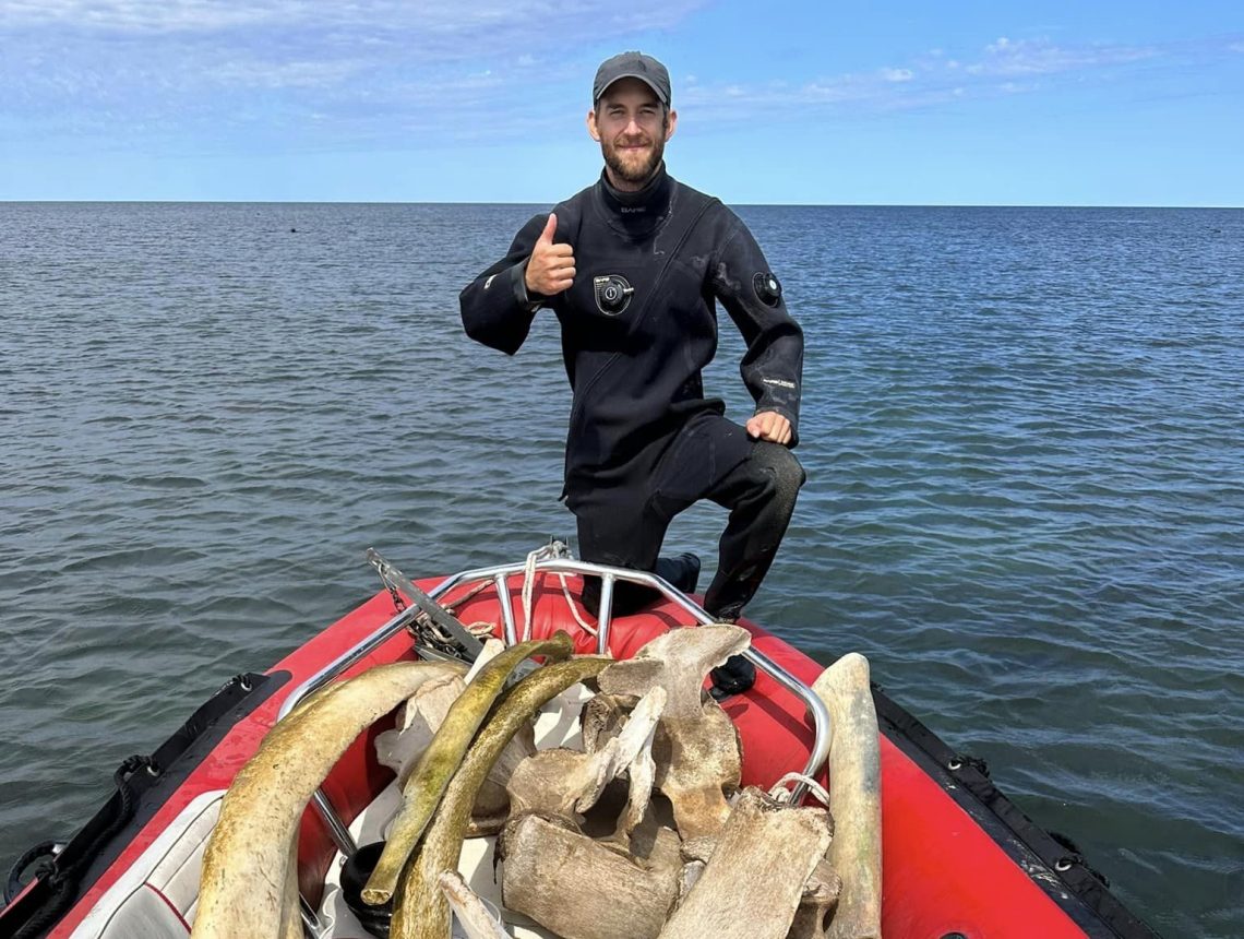 Un squelette partiel de rorqual commun découvert sur l'Île Brion - CFIM