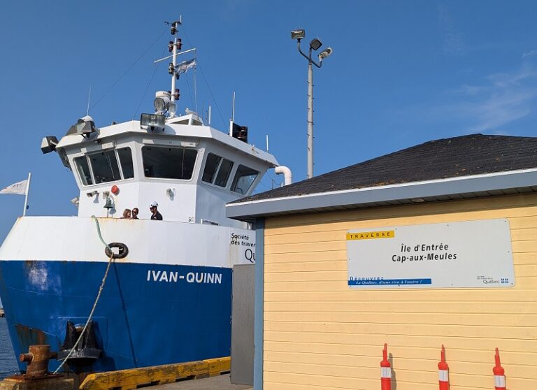 La STQ travaille à mieux gérer les arrêts techniques du Ivan-Quinn - CFIM
